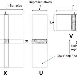Matrix Factorization The Matrix X Is Factored Into Two Smaller Download Scientific Diagram