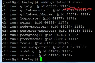 Backup And Restore Gitlab Omnibus On Centos