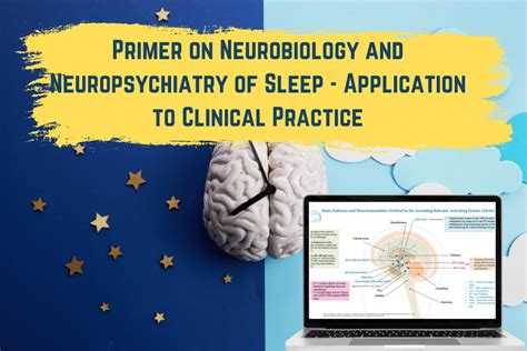 Neurobiology And Neuropsychiatry Of Sleep Translational Aspects
