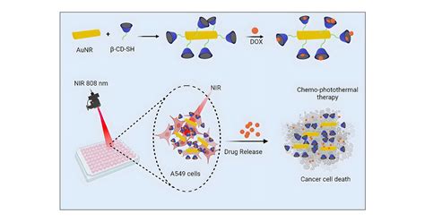 Nirph Dual Responsive Dox Loaded Aunrss β Cd Nanocomposite For Highly