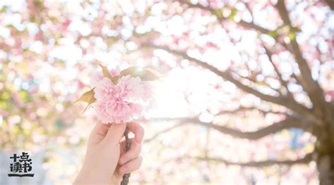 中年女人的5个生活特征中3个以上证明你过得很好 财经头条