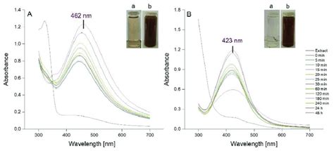Uv Vis Absorption Spectra Of Agnps Colloidal Solutions Synthesized