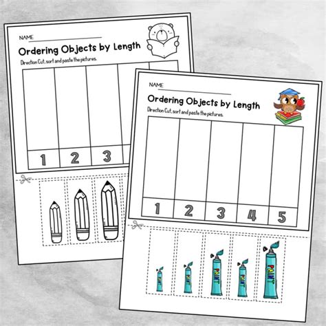 Ordering Objects By Lengthcomparing Lengths Worksheet By The Rabbit Studio