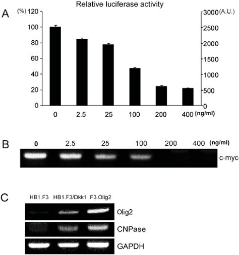 Dkk1 Inhibits Wnt Signaling In Hb1f3 A Topflashfopflash Reporter