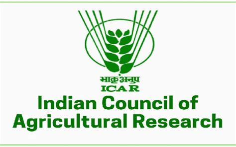 Icar Ctri Young Professional Recruitment 2024 Notification Sakshi Education