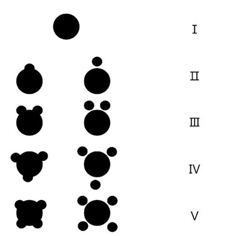 Schematic Overview Of The Clinical Progress In The Improvement In Coma
