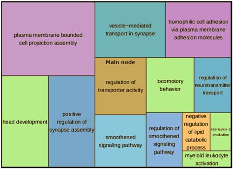 Enriched Go Terms Associated With Downregulated Transcripts In Tg Old Download Scientific
