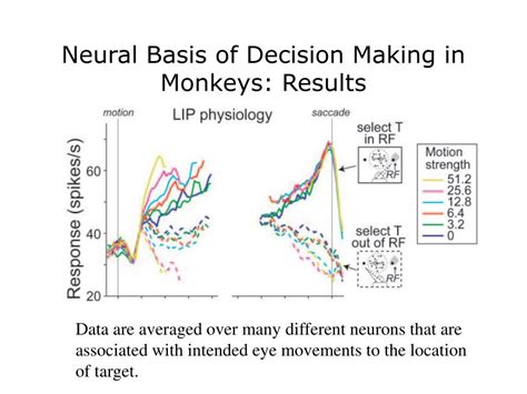 PPT Dynamic Decision Making In Complex Task Environments Principles