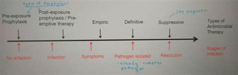 Principles Of Antimicrobial Therapy Flashcards Quizlet