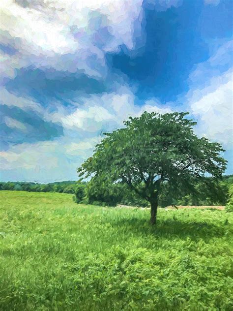 Tree In The Wind On Behance