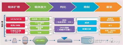 建议收藏 疫苗生产工艺简述 点击上方的 行舟drug 添加关注 疫苗是预防和控制传染病最经济、有效的手段，疫苗接种是通过诱导机体产生保护性