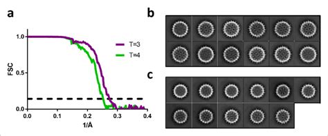Fourier Shell Correlation And 2d Class Averages Of T 4 And T 3