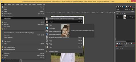 GIMP Import Image Learn How To Import Image In Gimp By Different Way