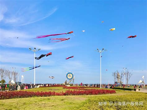 落户上海集体户和家庭户是怎么回事 知乎