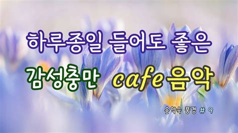 🎧 조용히 옆에 틀어두세요 가을에 듣는 카페음악 하루종일 들어도 좋은 팝송 편안한 하루를 시작하는 힐링음악 🎶마음이 편해지는 감성 플레이리스트 ️ 음악속풍경