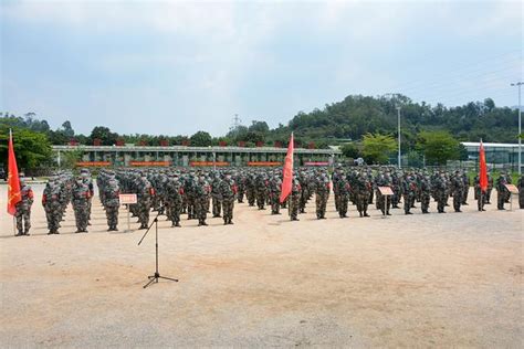 廣東省珠海市舉行直屬單位民兵分隊點驗暨開訓動員大會 每日頭條