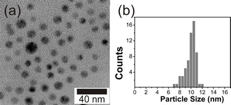 Ijms Special Issue Molecular Self Assembly