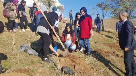 Solhanda öğrenciler fidan dikti Hukuki Haber