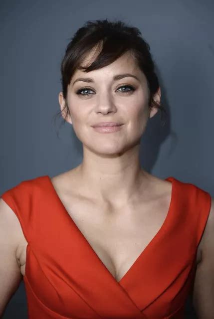 FOTO NR 9 MARION COTILLARD HOCHGLANZ 15 X 10 CM NEU EUR 1 00