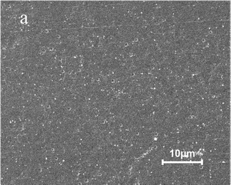 Sem Micrographs Of Surface Morphology Of Contact Group With Deposited