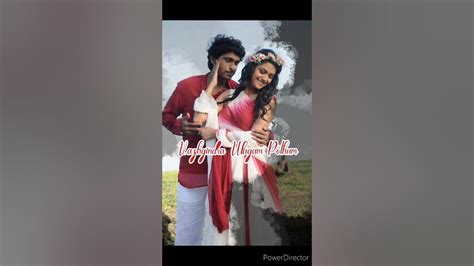 Iravaga Nee Nilavaga Naan Song Whatsapp Status ️ Nee Naan Mattum ️