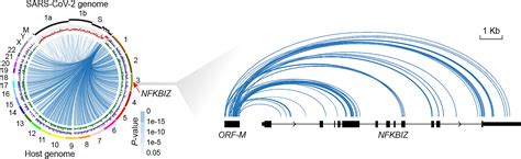 Cell Press Star Protocols