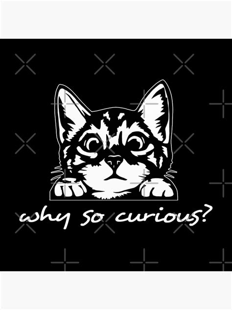 Why So Curious Cat So Curious Poster For Sale By Myteerepublik