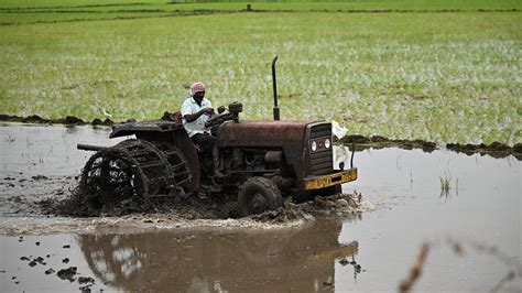 Farmers Rush To Plant Summer Crops As Monsoon Revives