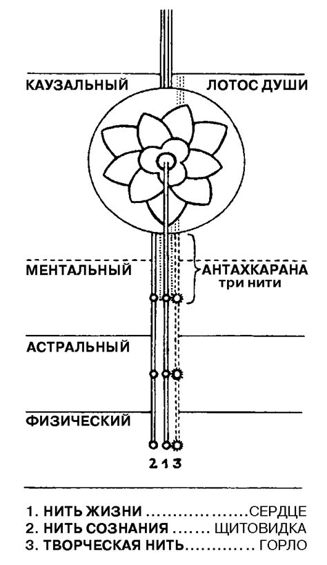 НАУКА АНТАХКАРАНЫ - НАУКА НОВОГО ВЕКА
