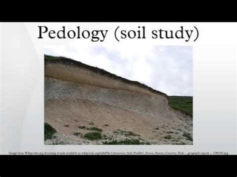 Pedology Soil Study YouTube