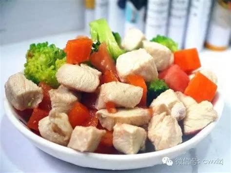 家裡狗狗挑食怎麼辦本獸醫分分鐘教會你自製狗糧 每日頭條