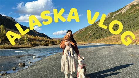 알래스카 브이로그 🇺🇸 6개월 아기와 데날리 국립공원 여행 가을의 알래스카🍁 미국 일상 Youtube