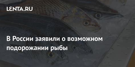 В России заявили о возможном подорожании рыбы Рынки Экономика