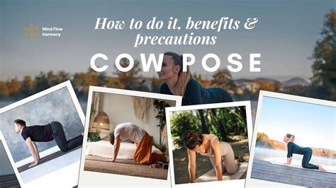Cow Pose Bitilasana How To Do It Benefits And Precautions Mind Flow
