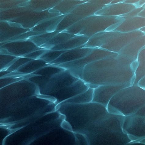 From Ecology To Finance And Back A Review On Entropy Based Null Models For The Analysis Of