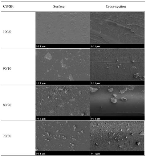 Sem Micrographs Of The Surfaces And Cross Sections Of Negatively