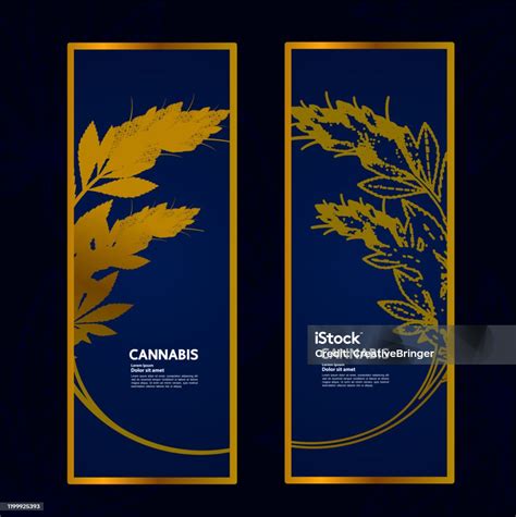 Ilustración De Elegante Hoja De Cannabis Ilustración Vectorial De Fondo