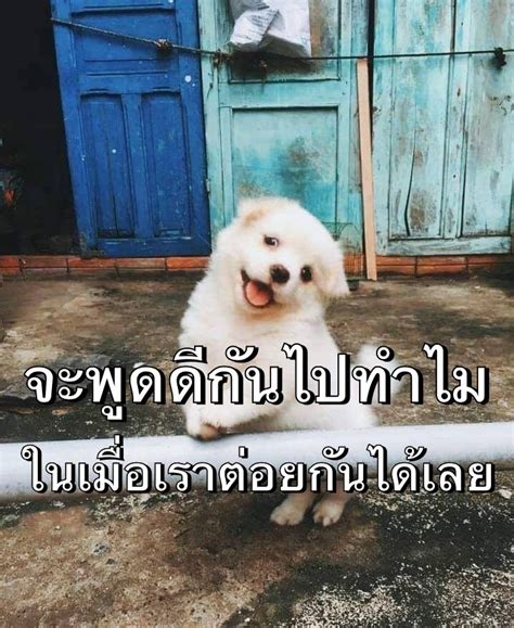 Cy On Twitter RT Boongkeang