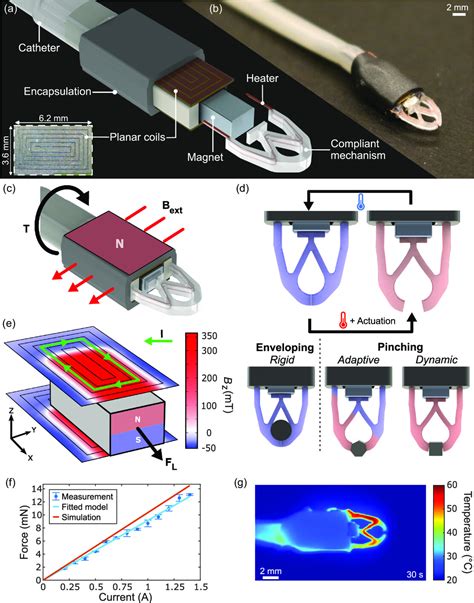 Miniaturized Variable Stiffness Gripper Locally Actuated By Magnetic Fields Masjosthusmann