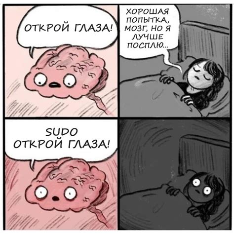 Не работает клавиша Fn на ноутбуке — что делать Kovalets