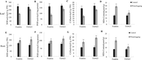 Effect Of Antioxidant Enzymes Activity And Mda Content In Leaf And Root