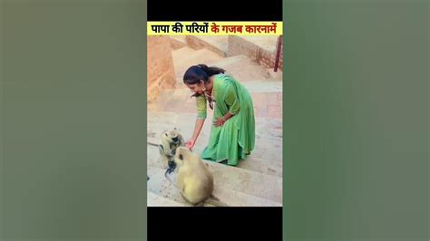 पापा की पारियों का गजब की कारनामा Funny Comedy Amazingfacts Youtube