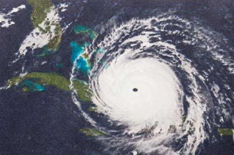 Pin On Library Advocacy