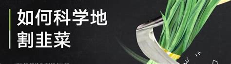 揭露网赚真相：你真的会成为下一个走向财务自由的创业者吗？ 知乎