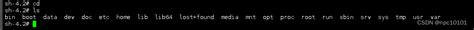 linux入门 在自己的linux服务器上创建隐藏账户 linux创建隐藏用户 csdn博客