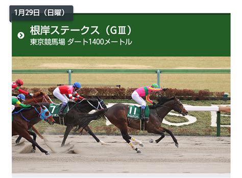 根岸ステークス2023 傾向⑸ 競馬場へ行こう‼ 《 ケロッピー 彡