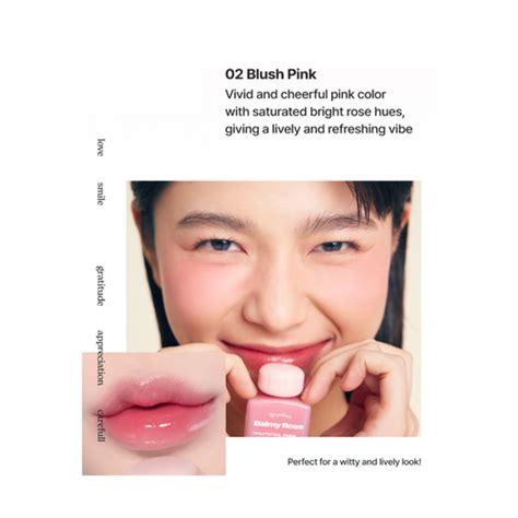 Buy Alternative Stereo Lip Potion Balmy Rose In Singapore Hushsg