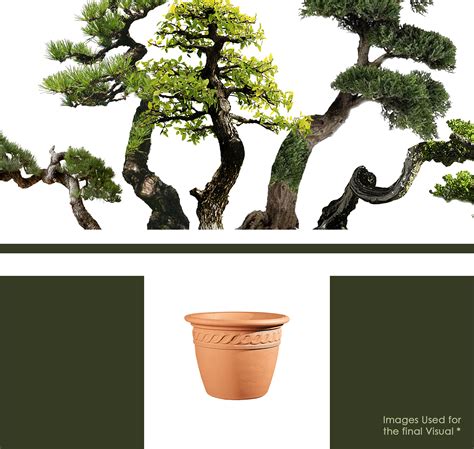 Overpopulation Poster On Behance