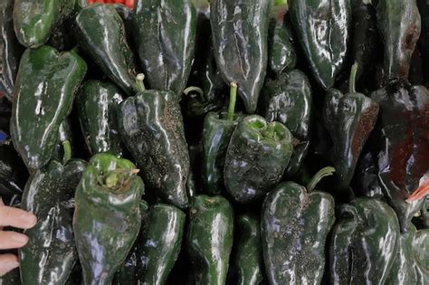 Cuál Es El Chile Mexicano Más Picante Infobae