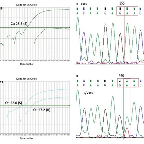 A A Quantitative Reverse Transcriptase Polymerase Chain Reaction